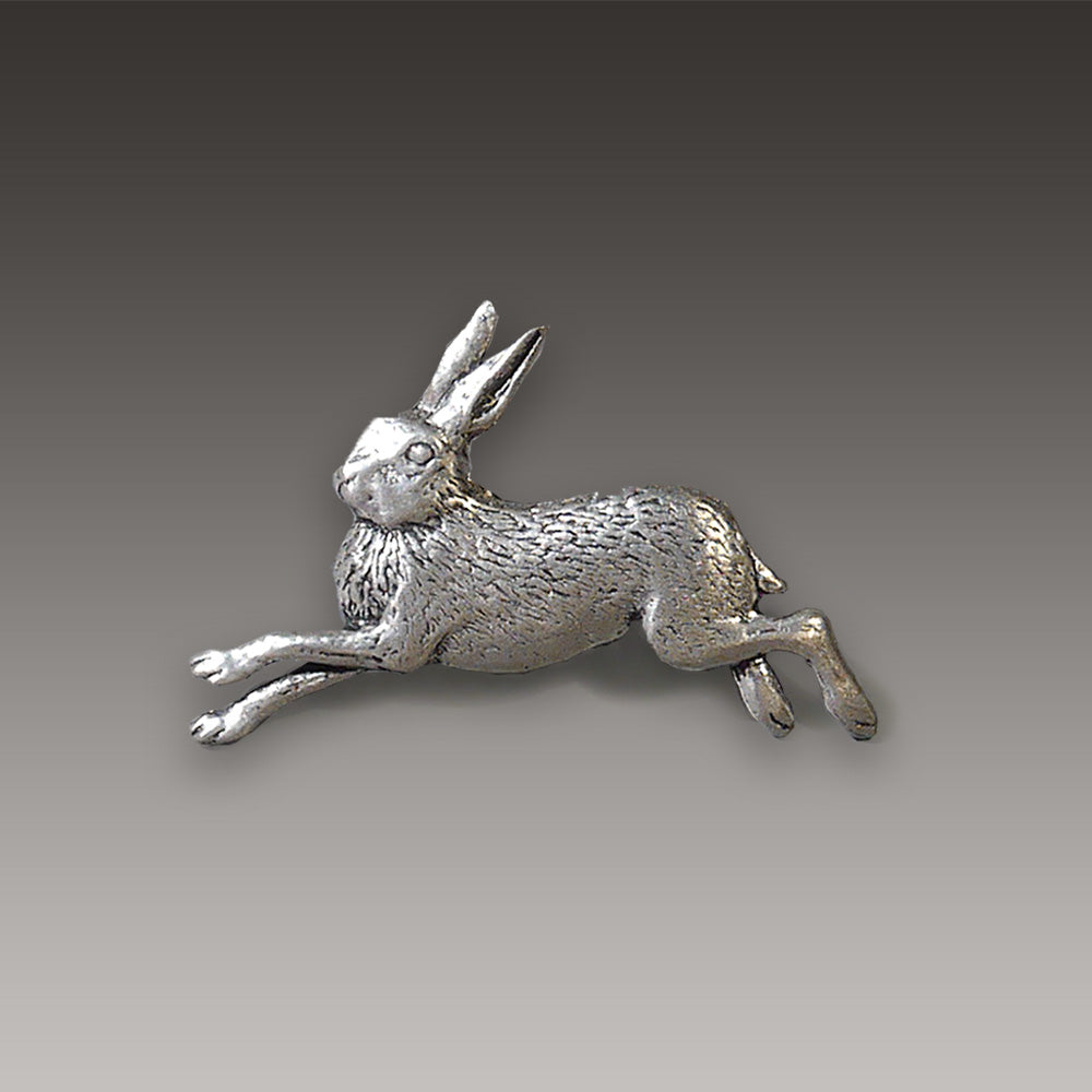 "Names of the Hare" Brooch – Museum of Jurassic Technology Gift Shop