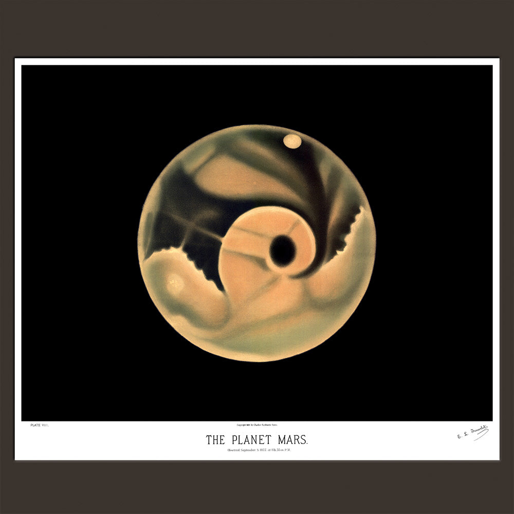 'The Planet Mars' Matted Trouvelot Print – Museum of Jurassic ...