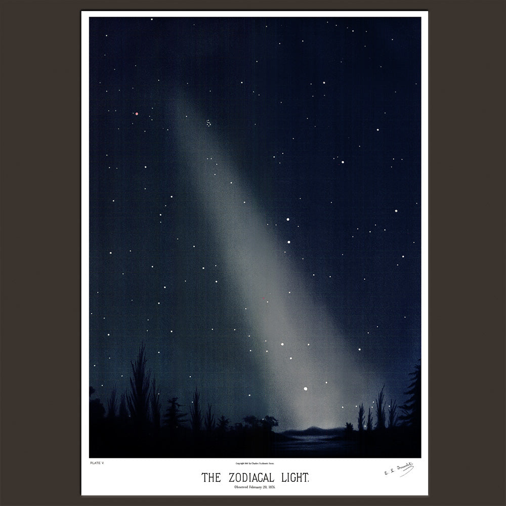 'The Zodiacal Light' Matted Print – Museum of Jurassic Technology Gift Shop