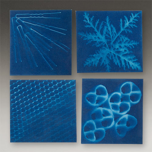 Sunprint Kit – Museum of Jurassic Technology Gift Shop